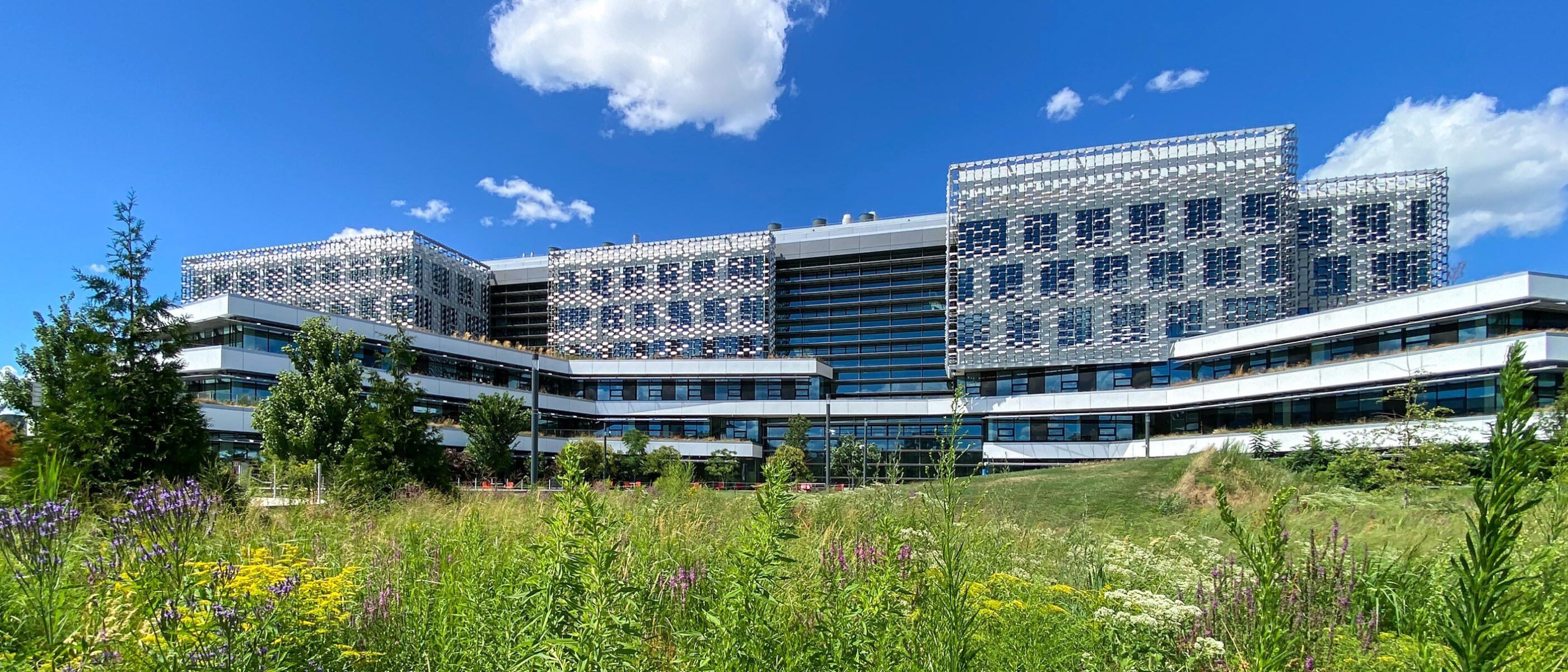 feco in Harvard: Interview mit Larry Hole. │ feco-Partner weltweit