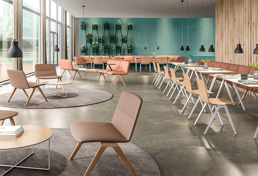 A-Collection von Brunner │ außergewöhnlich gut